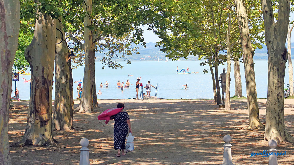 Balatonfenyves – Központi szabadstrand – 2025 – balatontipp.hu