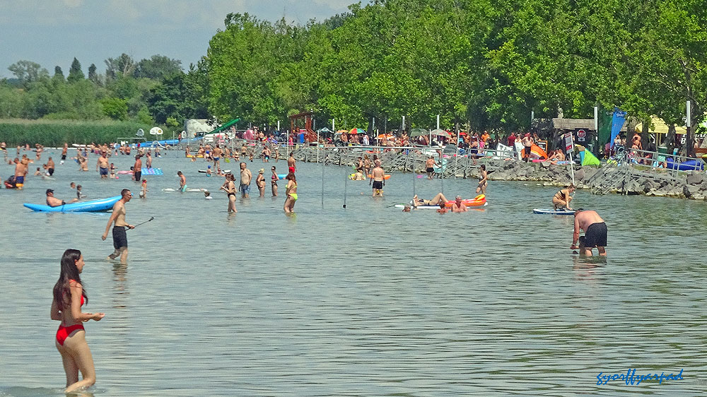 Balatonfenyves – Központi szabadstrand – 2025 – balatontipp.hu