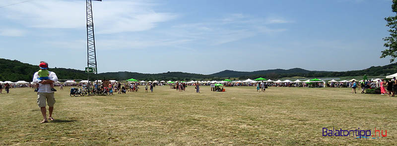 Tihany – Titkos erőket rejt a levendula – balatontipp.hu