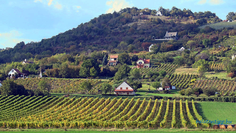 Balatoni programok a szeptember 28-október 12. közötti időszakra ...