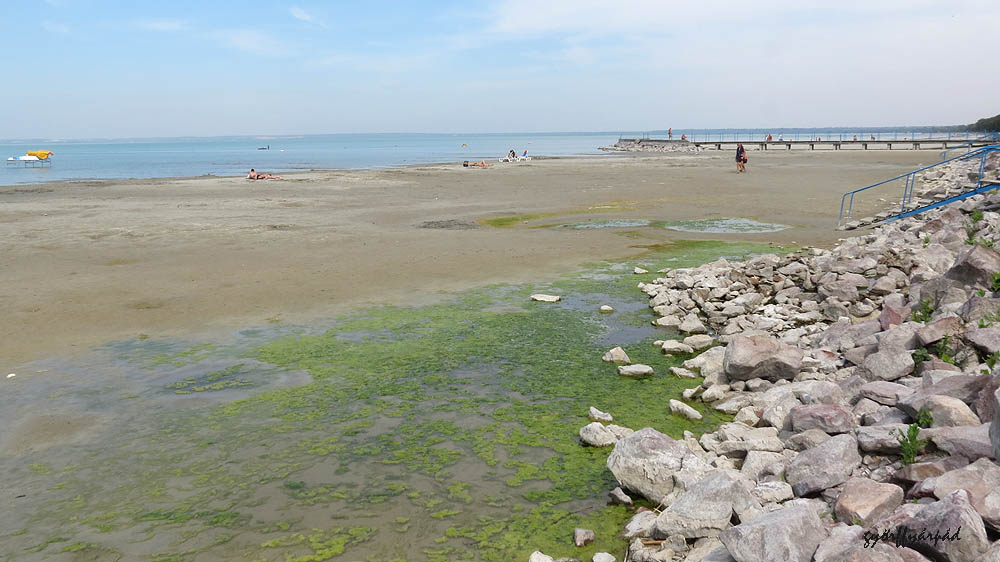 120911-43cm-Siofok-Aranypart-sekely_a_Balaton-gyorffyarpad – balatontipp.hu